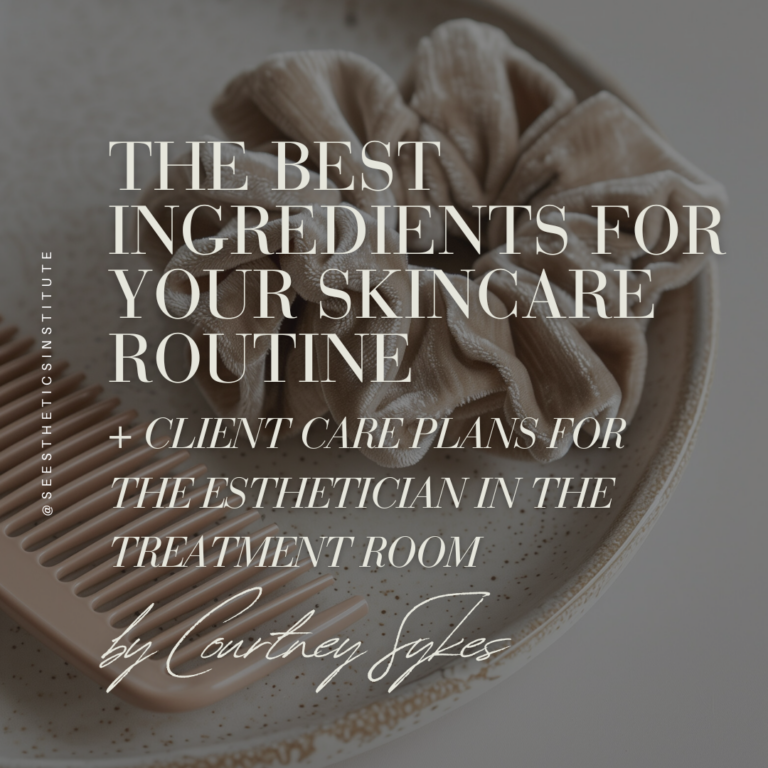 THE BEST INGREDIENTS FOR YOUR SKINCARE ROUTINE + CLIENT CARE PLANS FOR ...
